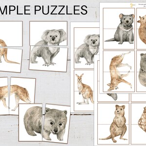AUSTRALIAN Animals Pre-k and K Activity Pack, Homeschool, Digital ...