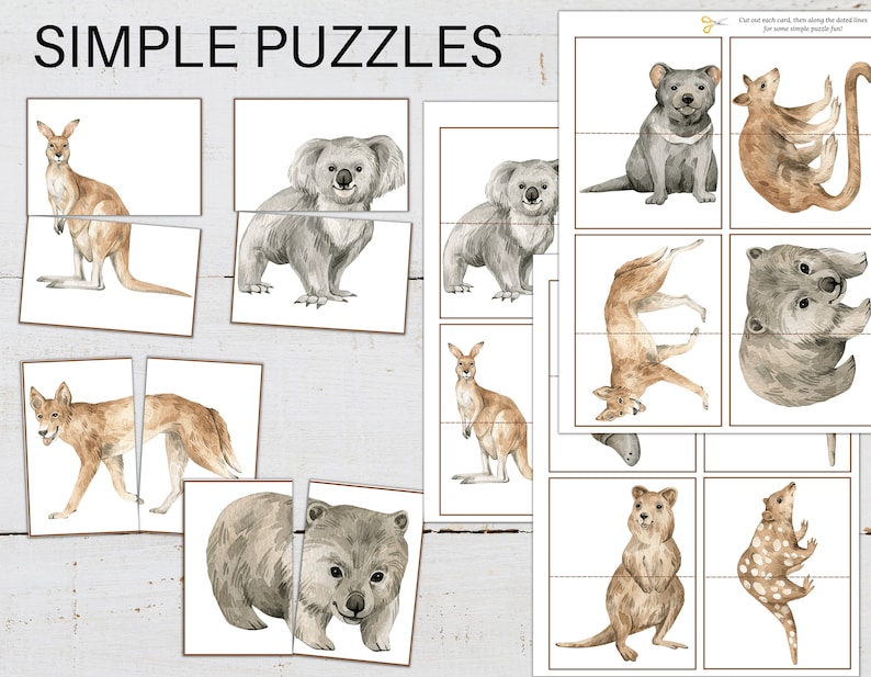 AUSTRALIAN Animals Pre-k and K Activity Pack, Homeschool, Digital ...