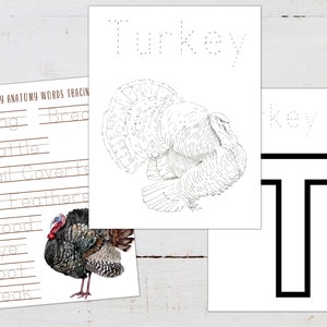 TURKEY Mini Unit Study, Life Cycle, Anatomy, Nature Study, Science ...