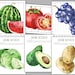 FRUIT & VEGGIES Pre-k and K Activity Pack, Homeschool, Digital, Instant ...