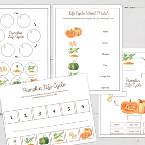 PUMPKIN Mini Unit Study, Life Cycle, Anatomy, Nature Study, Science ...