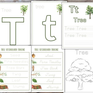 TREE Unit Study, Life Cycle, Anatomy, Nature Study, Science, Homeschool ...