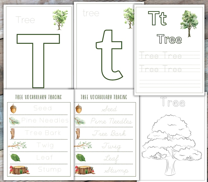 TREE Unit Study, Life Cycle, Anatomy, Nature Study, Science, Homeschool ...
