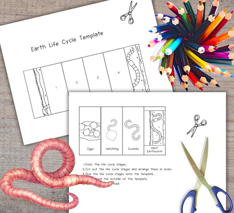 Earthworm Life Cycle Foldable Template, Kids' Science Craft, A4 and ...