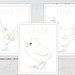 CHICKEN Mini Unit Study Life Cycle Anatomy Nature Study - Etsy