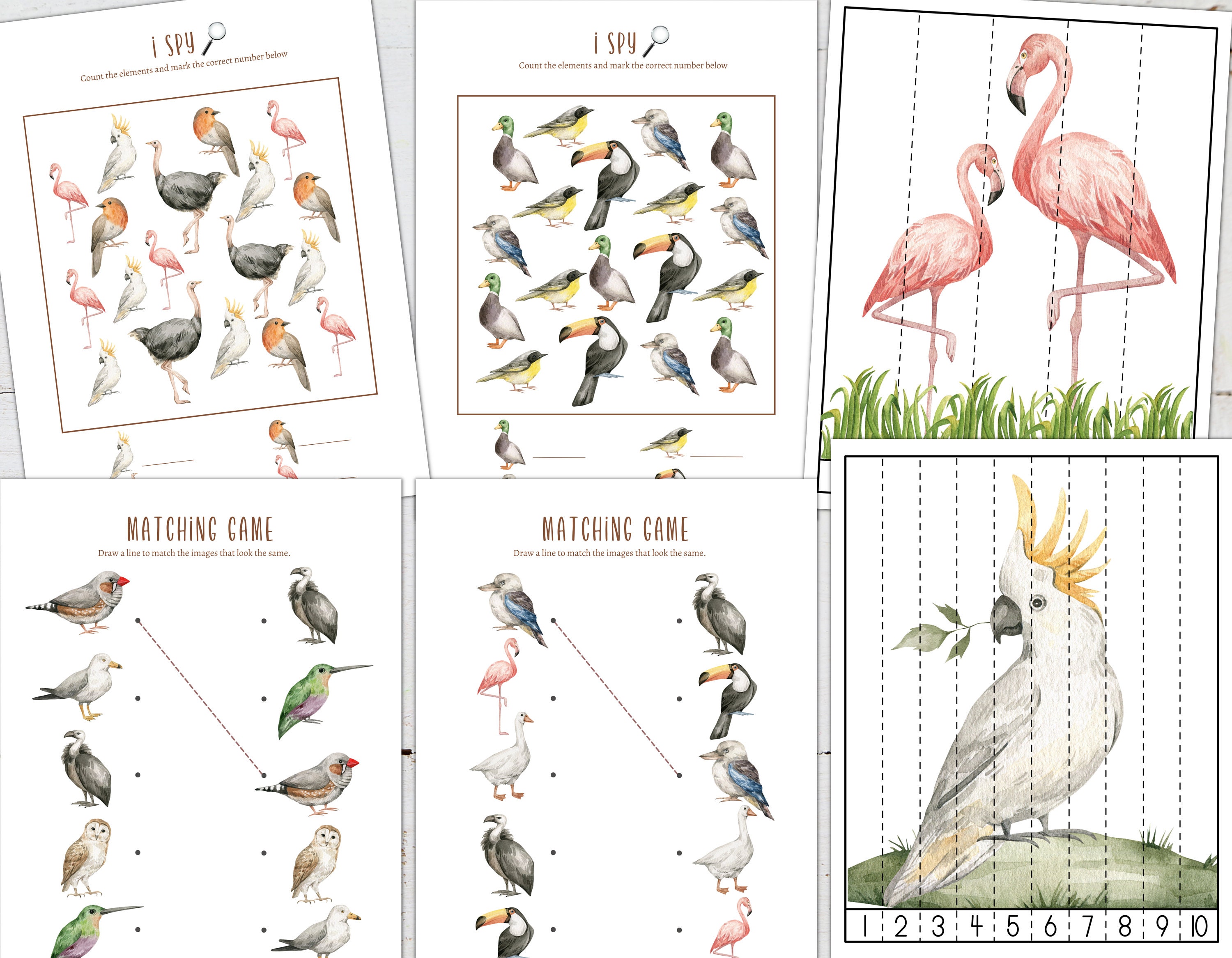 BIRD Unit Study, Life Cycle, Anatomy, Nature Study, Science, Homeschool ...