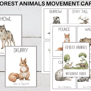 FOREST Animals Pre-k and K Activity Pack, Homeschool, Digital, INSTANT ...