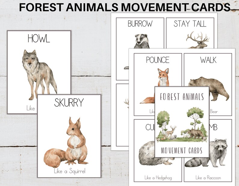 FOREST Animals Pre-k and K Activity Pack Homeschool Digital - Etsy