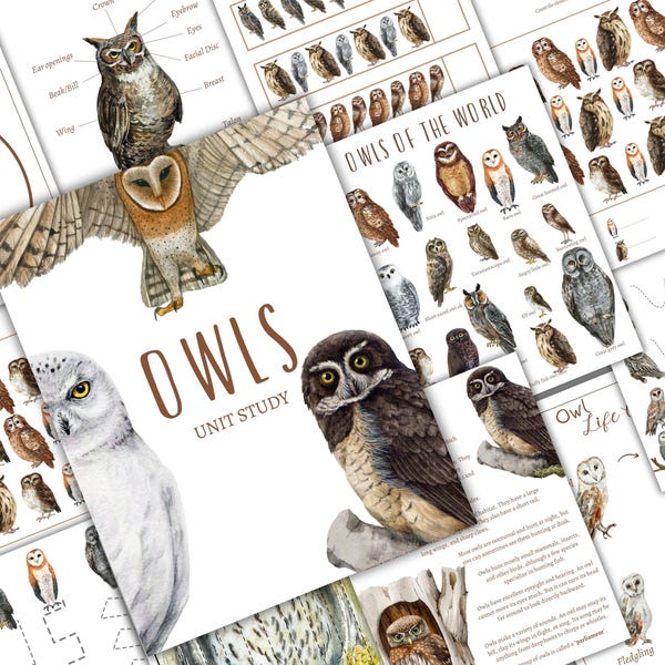 Owl Chart - Etsy