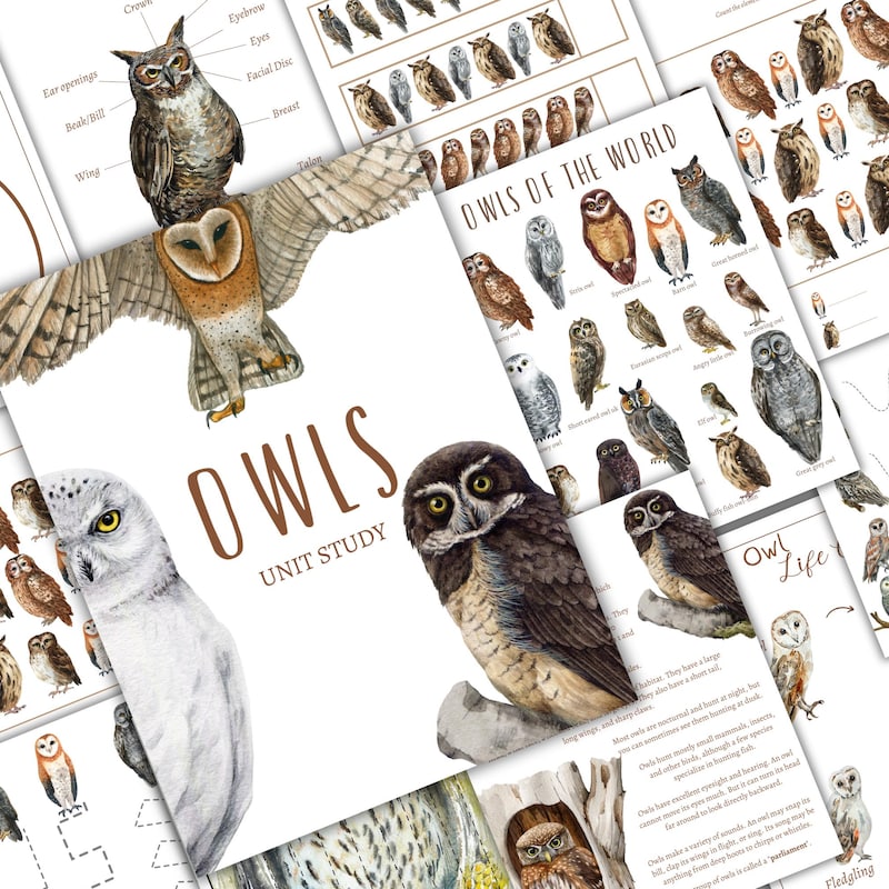 Printable Owl Unit - Etsy UK