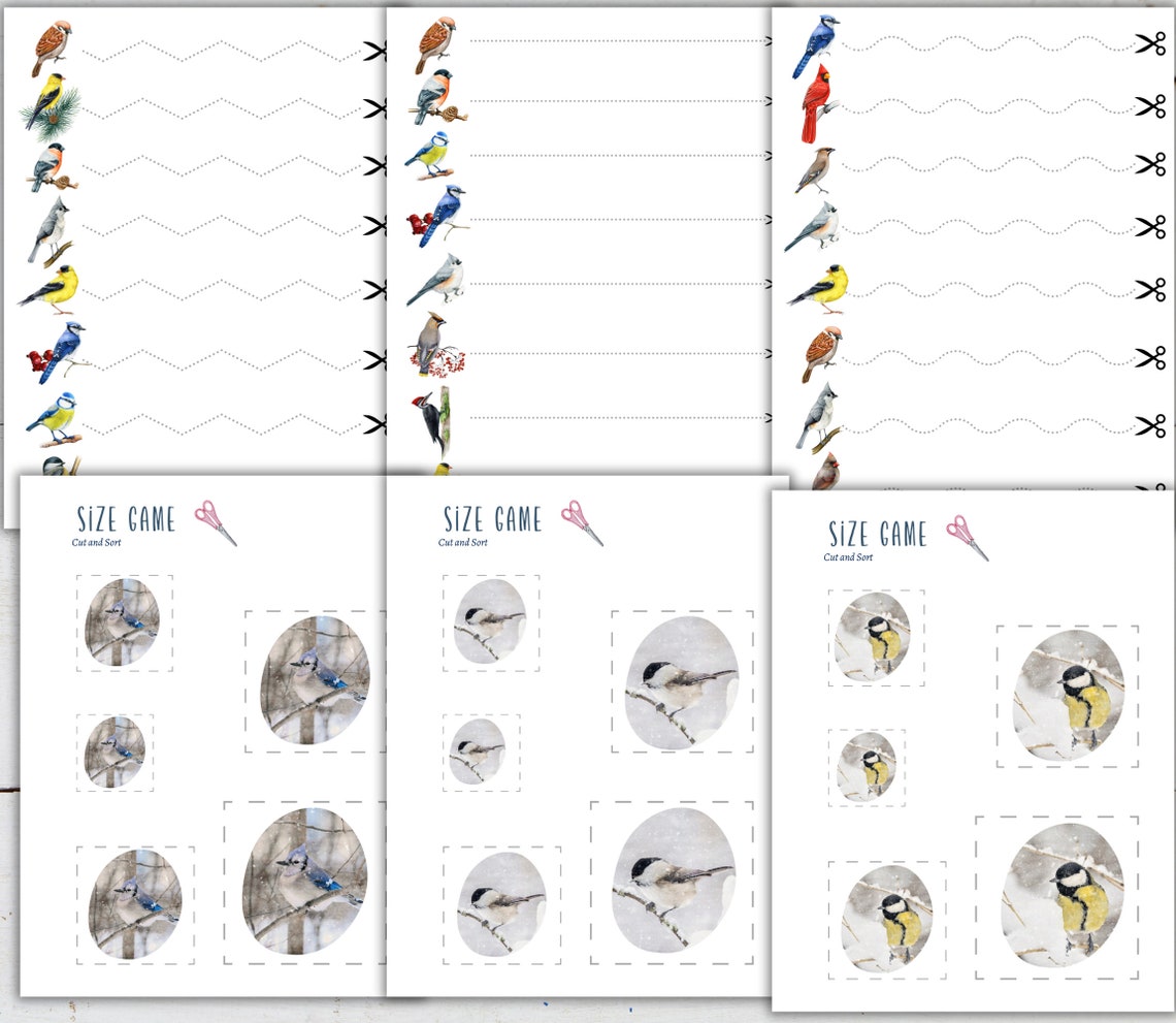 WINTER BIRDS Unit Study, Life Cycle, Anatomy, Nature Study, Science ...