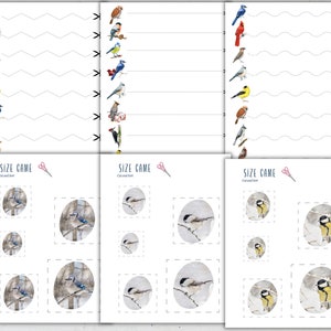 WINTER BIRDS Unit Study, Life Cycle, Anatomy, Nature Study, Science ...