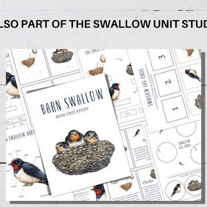 BARN SWALLOW Anatomy Poster, Labeling and Tracing Activity, Homeschool ...