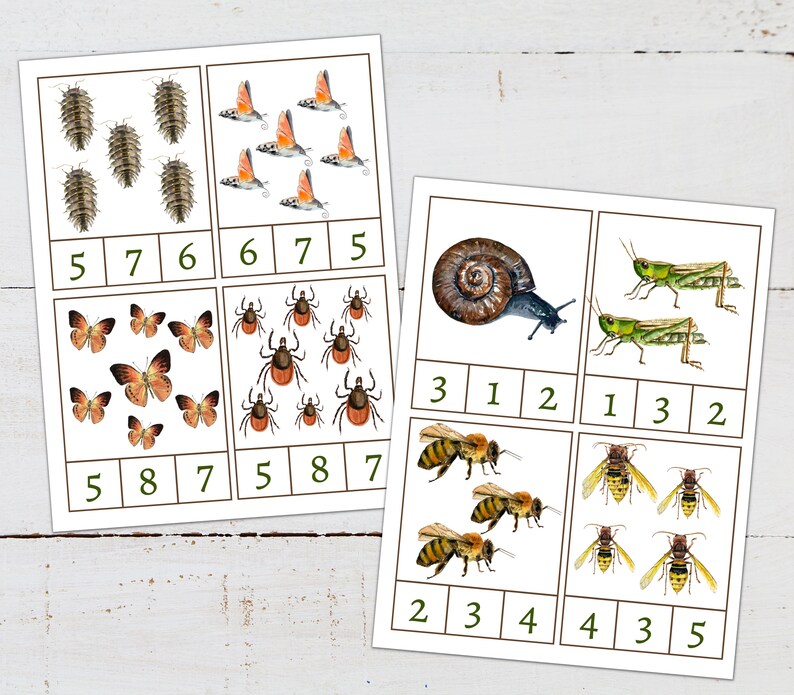 MINIBEASTS Count and Clip Cards 1 to 15 Counting Spring - Etsy