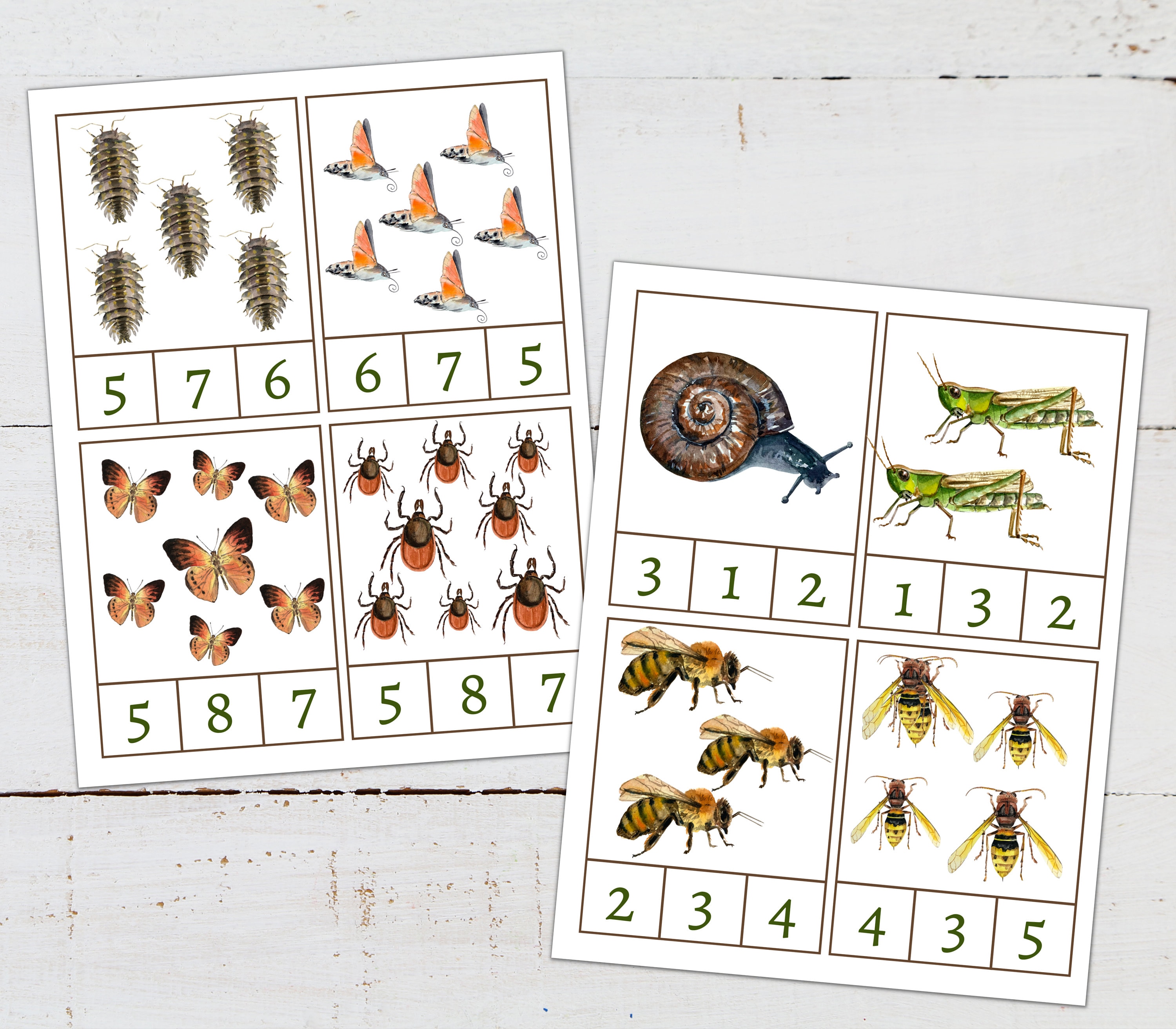 MINIBEASTS Count and Clip Cards, 1 to 15 Counting, Spring Activity for ...