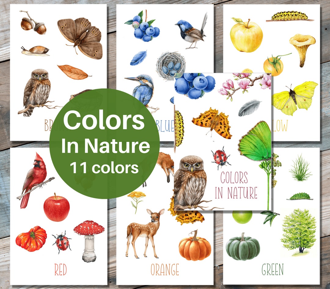 COLORS in Nature Flashcards, Color Flashcards, Vocabulary, Montessori ...