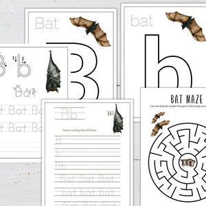 BAT Unit Study, Life Cycle, Anatomy, Nature Study, Science, Homeschool ...