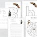 BAT Unit Study, Life Cycle, Anatomy, Nature Study, Science, Homeschool ...