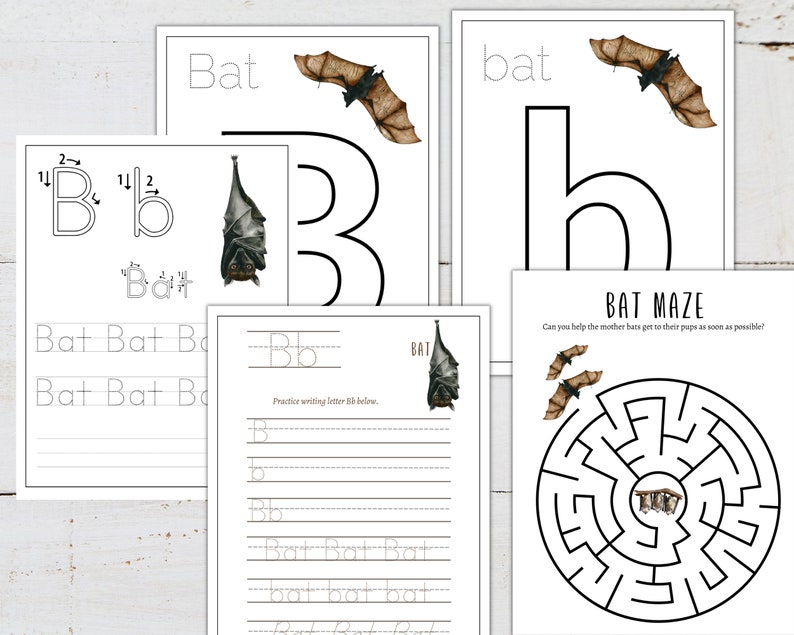 BAT Unit Study, Life Cycle, Anatomy, Nature Study, Science, Homeschool ...