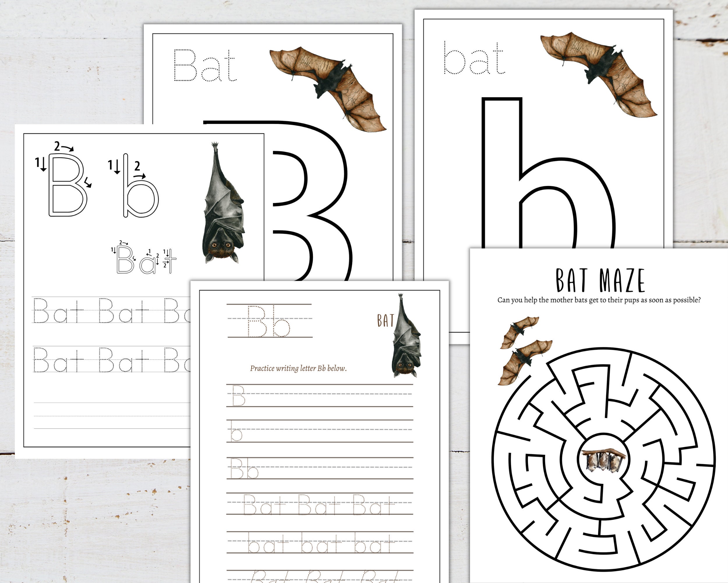 BAT Unit Study, Life Cycle, Anatomy, Nature Study, Science, Homeschool ...