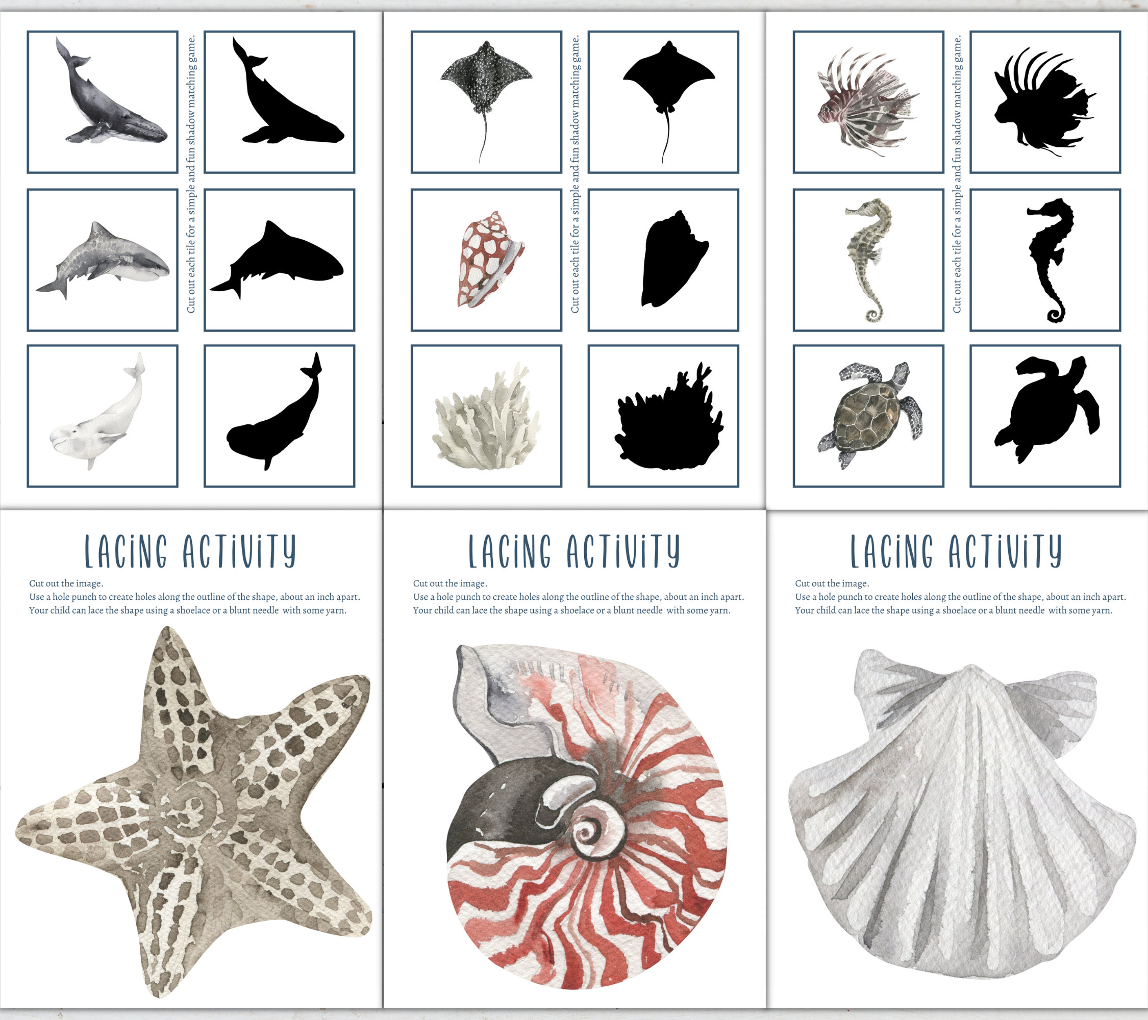 OCEAN Animals Pre-k and K Activity Pack, Homeschool, Digital, INSTANT ...