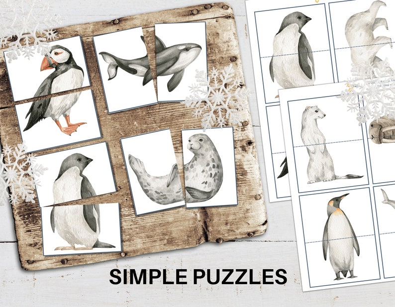 POLAR Animals Pre-k and K Activity Pack Homeschool Digital - Etsy