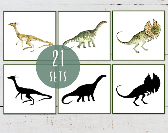 Dinosaur Fossil Identification Cards - Etsy
