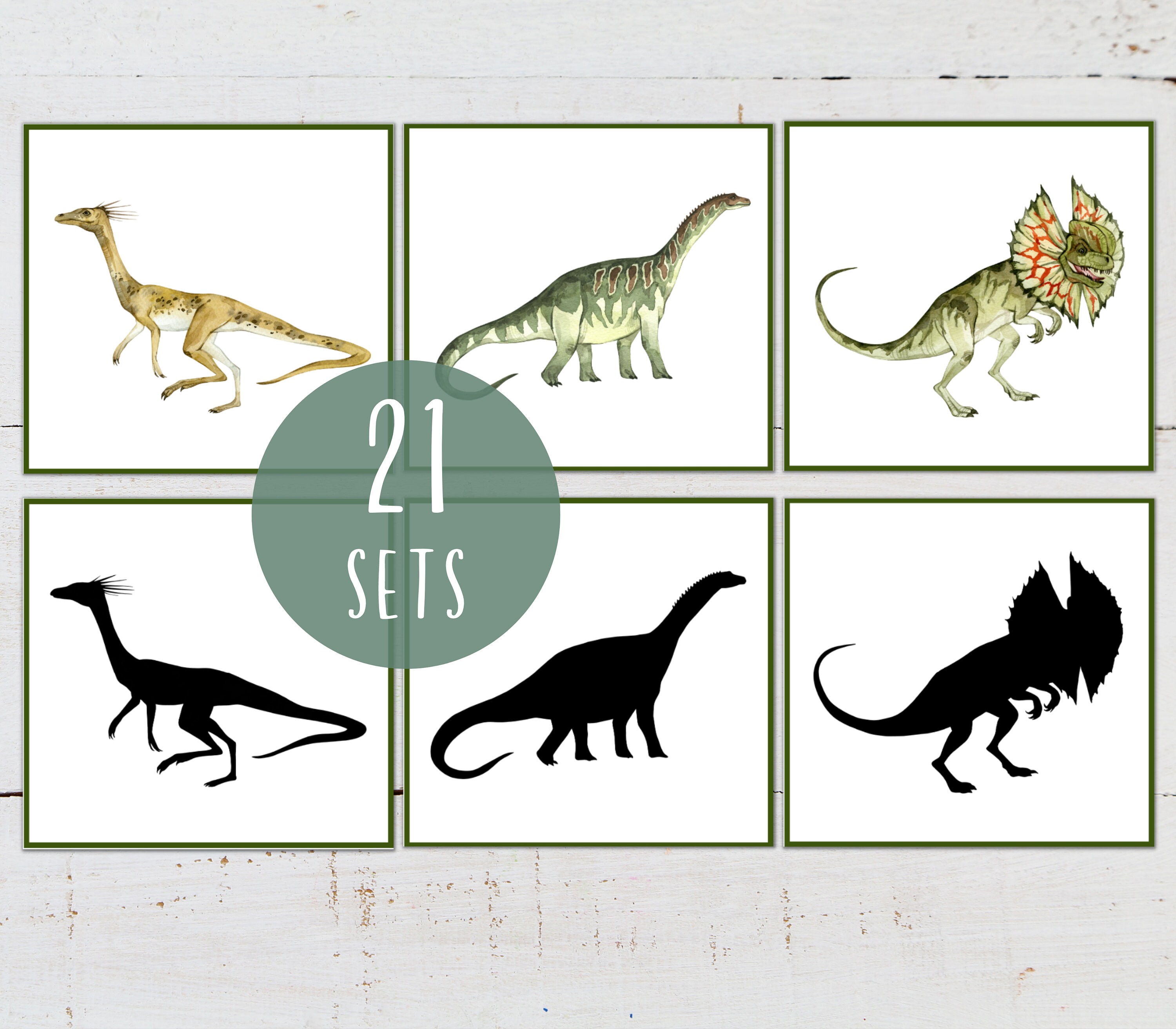 DINOSAUR Shadow Matching, Silhouette Matching, Montessori at Home ...
