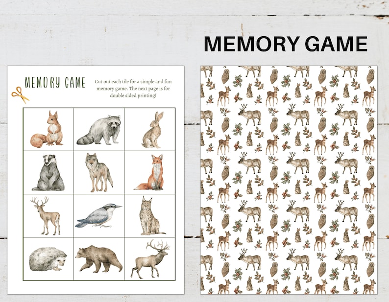 FOREST Animals Pre-k and K Activity Pack Homeschool Digital - Etsy