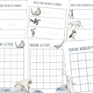 POLAR Animals Pre-k and K Activity Pack, Homeschool, Digital, INSTANT ...
