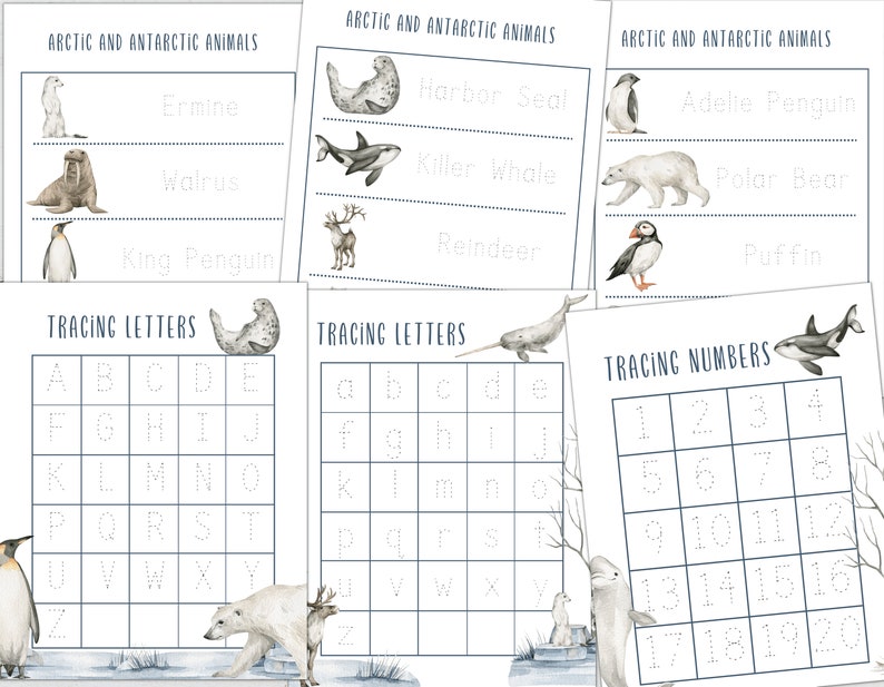 POLAR Animals Pre-k and K Activity Pack Homeschool Digital - Etsy