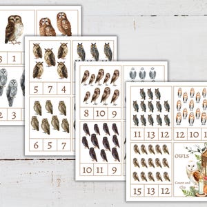 OWLS Unit Study, Life Cycle, Anatomy, Nature Study, Science, Homeschool ...