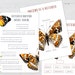 BUTTERFLY Unit Study, Life Cycle, Anatomy, Species, Nature Study ...