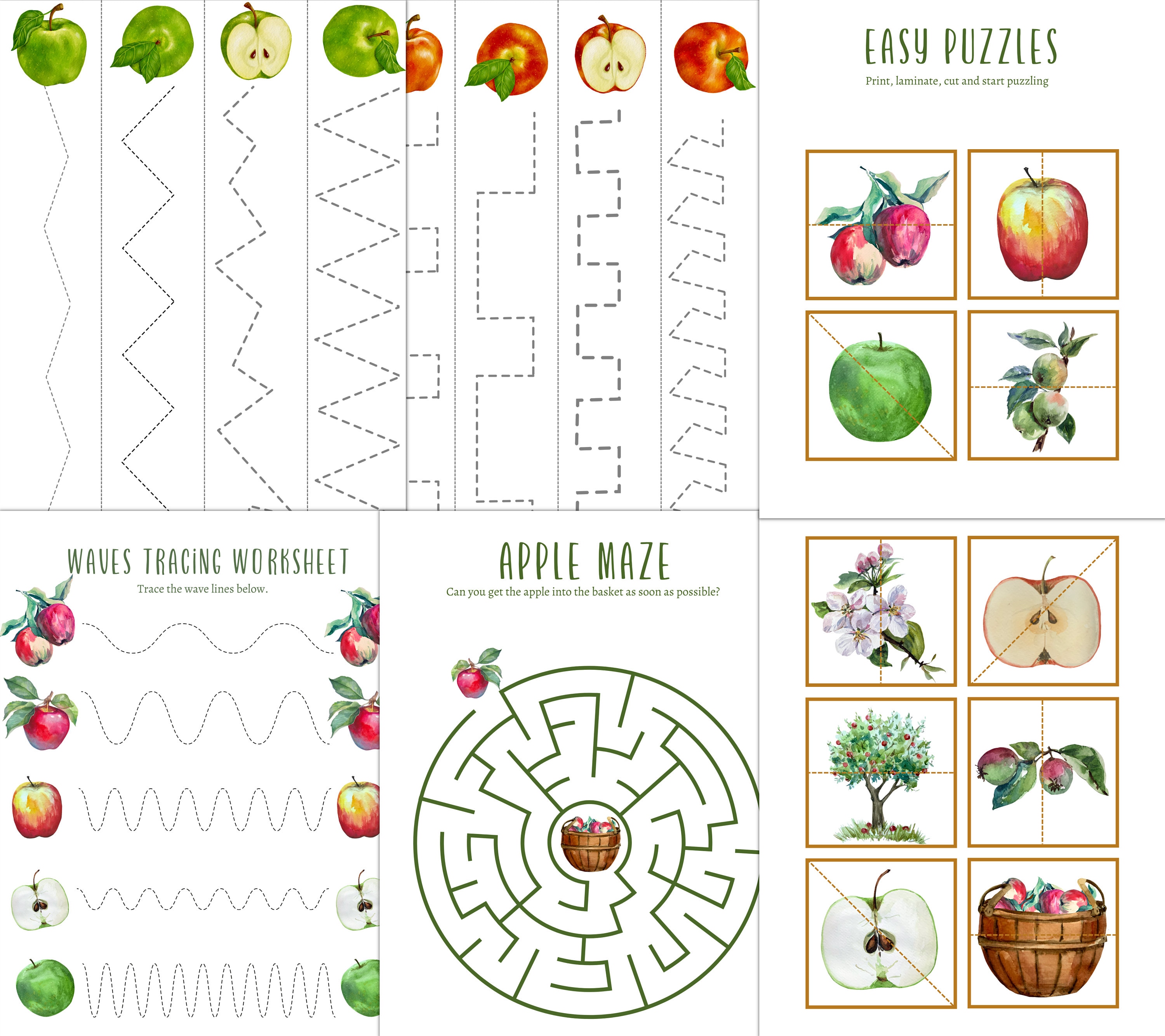 APPLE Unit Study, Life Cycle, Anatomy, Nature Study, Science ...
