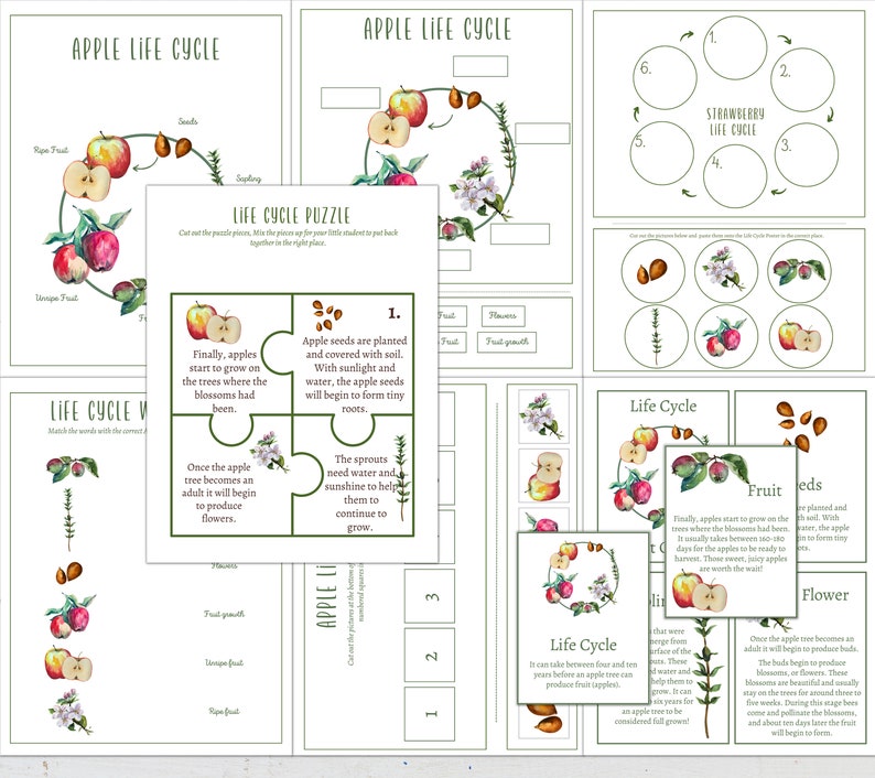 APPLE Unit Study, Life Cycle, Anatomy, Nature Study, Science ...
