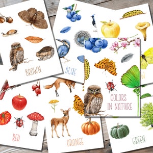 COLORS in Nature Flashcards, Color Flashcards, Vocabulary, Montessori ...
