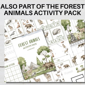 ANIMAL MOVEMENT CARDS, Forest Animals, Calm Down Activity, Kids ...