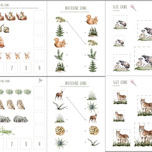 IN THE FOREST Pre-k and K Activity Pack, Homeschool, Digital, Instant ...