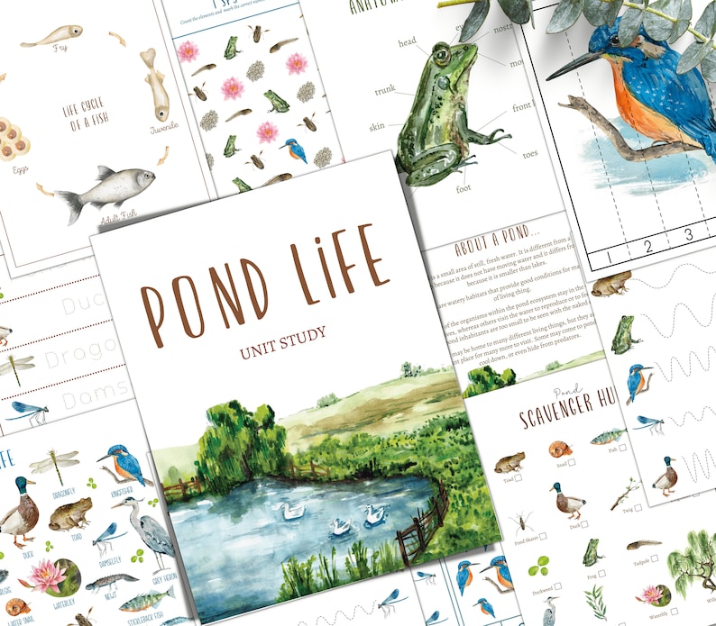 POND LIFE Unit Study Life Cycle Anatomy Nature Study - Etsy UK