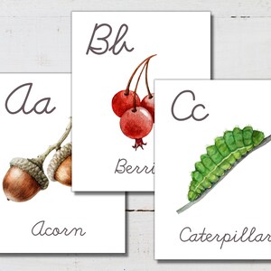 Alphabet Posters, Large Format for Classroom Use - Etsy