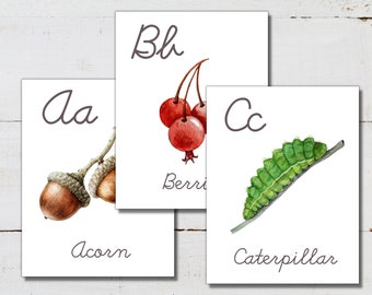 Alphabet Posters, Large Format for Classroom Use - Etsy