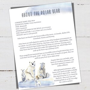 POLAR Bear Mini Unit Study, Life Cycle, Anatomy, Nature Study, Science ...
