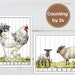 FARM Animals Number Sequence Puzzles, Printable, Skip Counting ...
