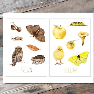 COLORS in Nature Flashcards, Color Flashcards, Vocabulary, Montessori ...