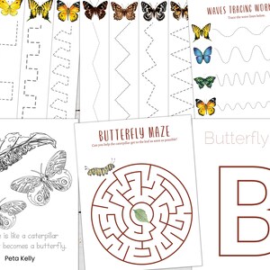 BUTTERFLY Unit Study, Life Cycle, Anatomy, Species, Nature Study ...