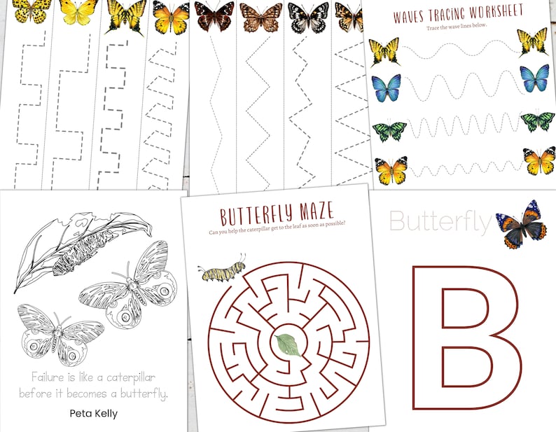 BUTTERFLY Unit Study Life Cycle Anatomy Species Nature - Etsy