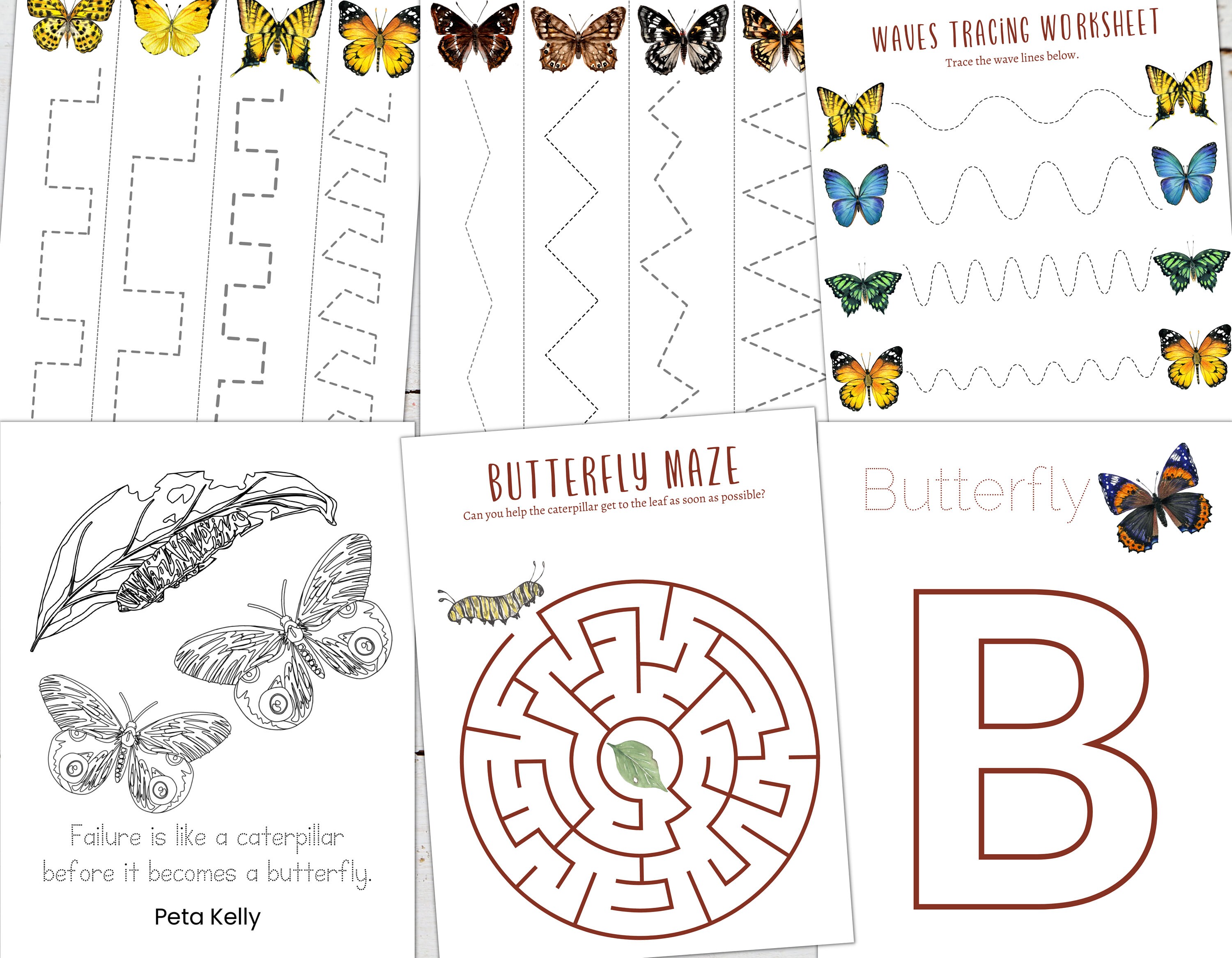 BUTTERFLY Unit Study, Life Cycle, Anatomy, Species, Nature Study ...