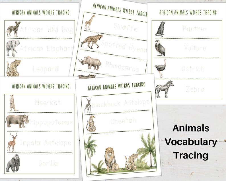 AFRICAN Animals Pre-k and K Activity Pack, Homeschool, Digital, INSTANT ...