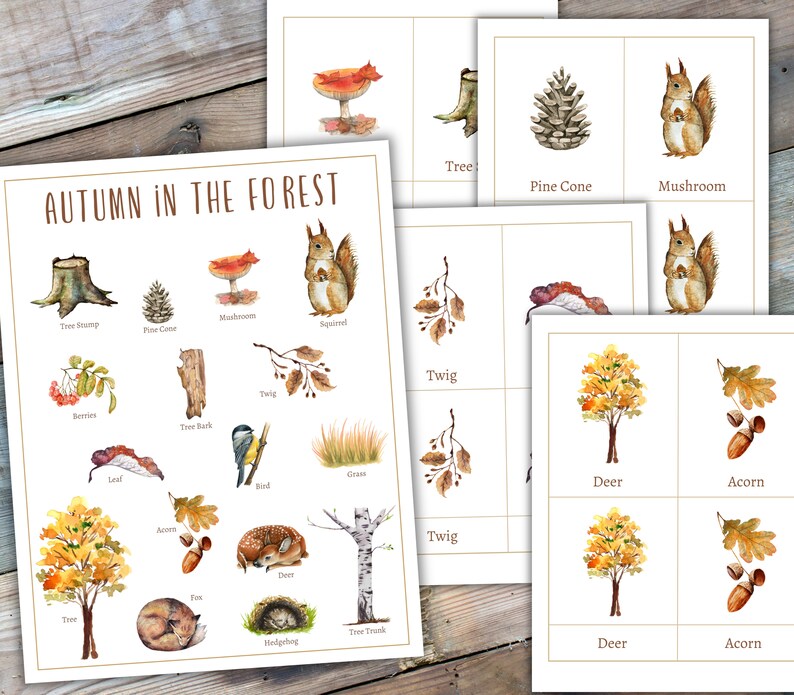 AUTUMN FOREST Pre-k and K Activity Pack, Homeschool, Digital, Instant ...