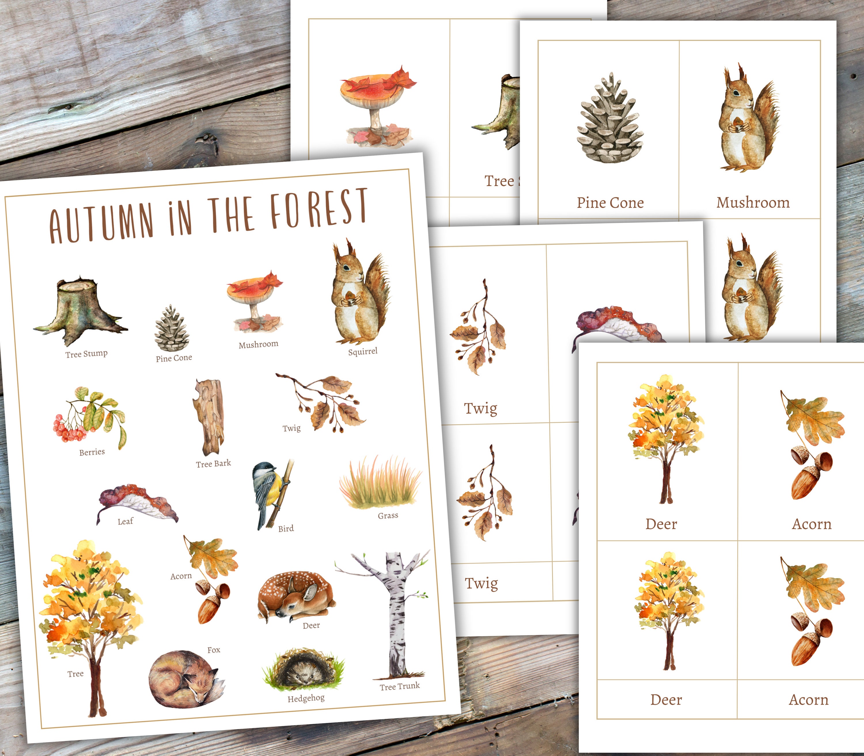 AUTUMN FOREST Pre-k and K Activity Pack, Homeschool, Digital, Instant ...